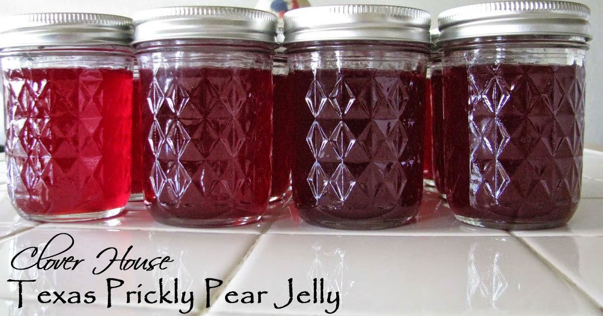 Clover House: Texas Prickly Pear Cactus Jelly