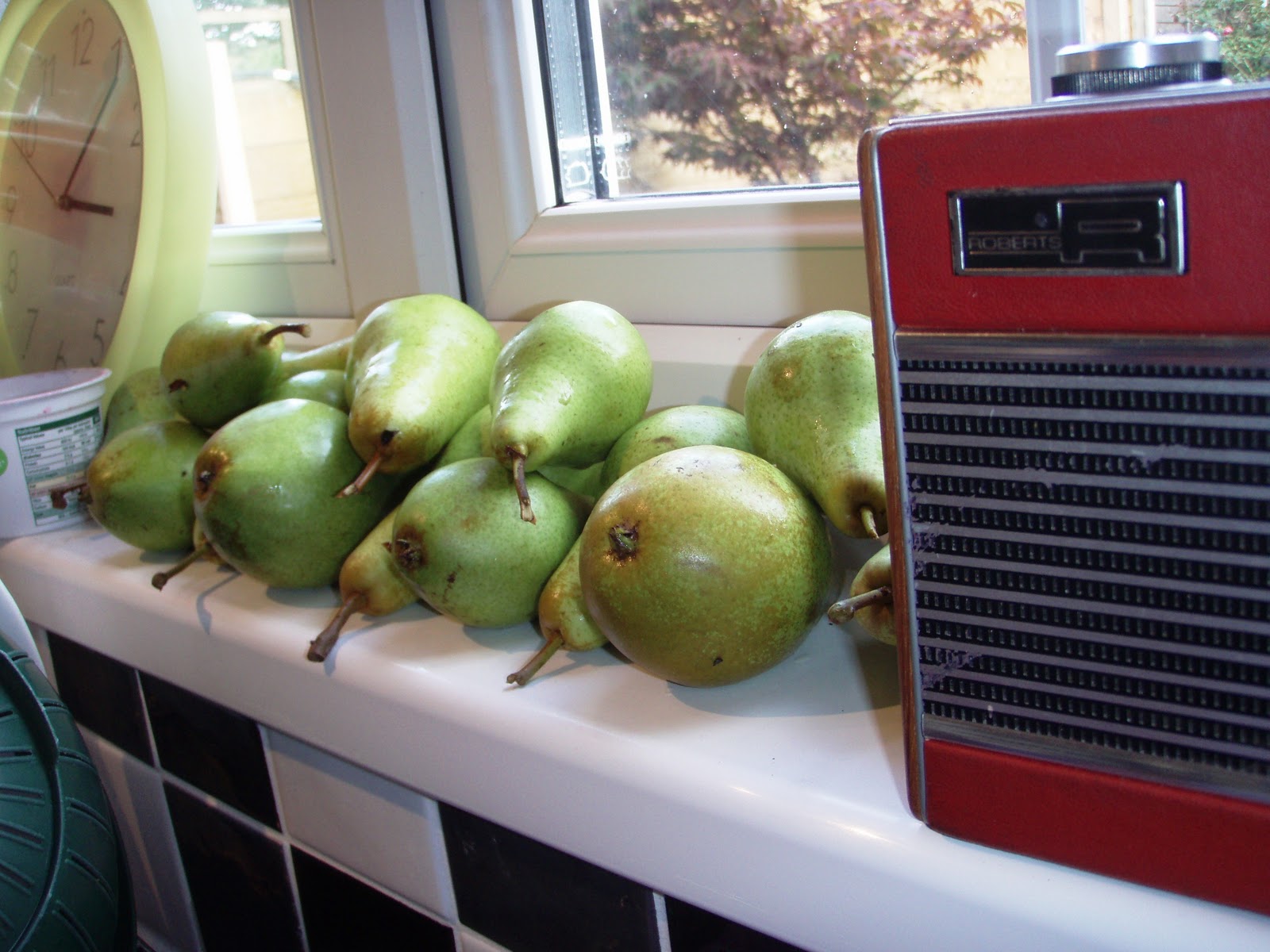 The Urbane Forager: March 2011