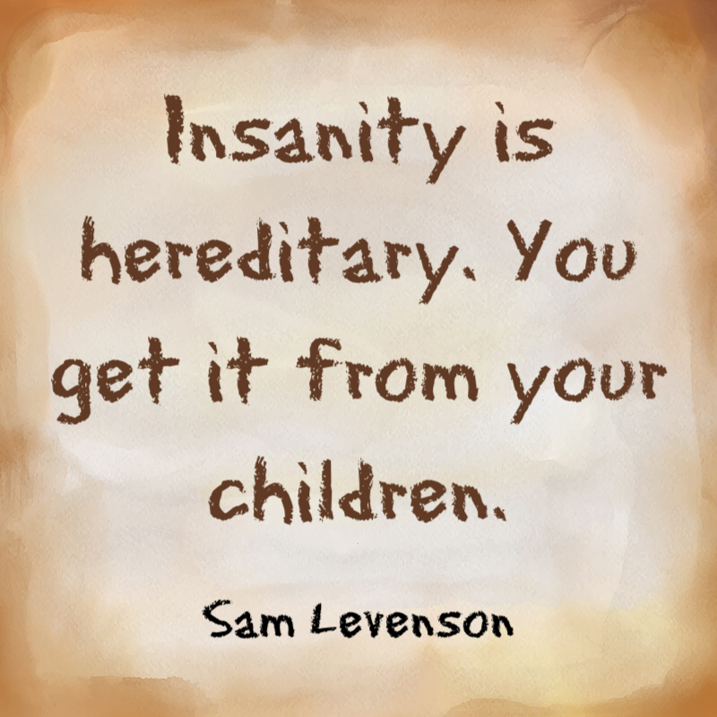 Insanity by Sam Levenson free picture for commercial use