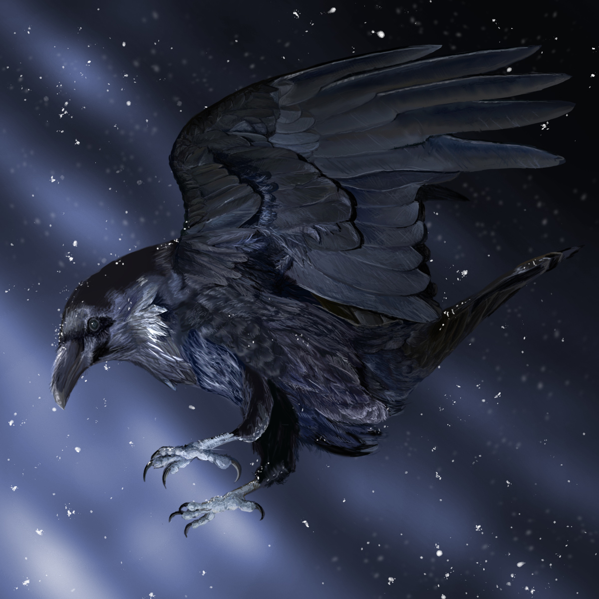 Cowled Crow: The Cowled Crow in a Nut-shell