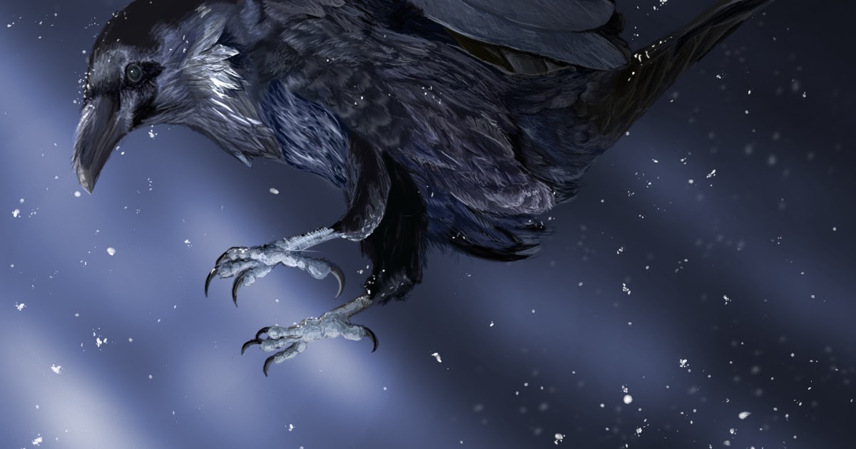 Cowled Crow: The Cowled Crow in a Nut-shell