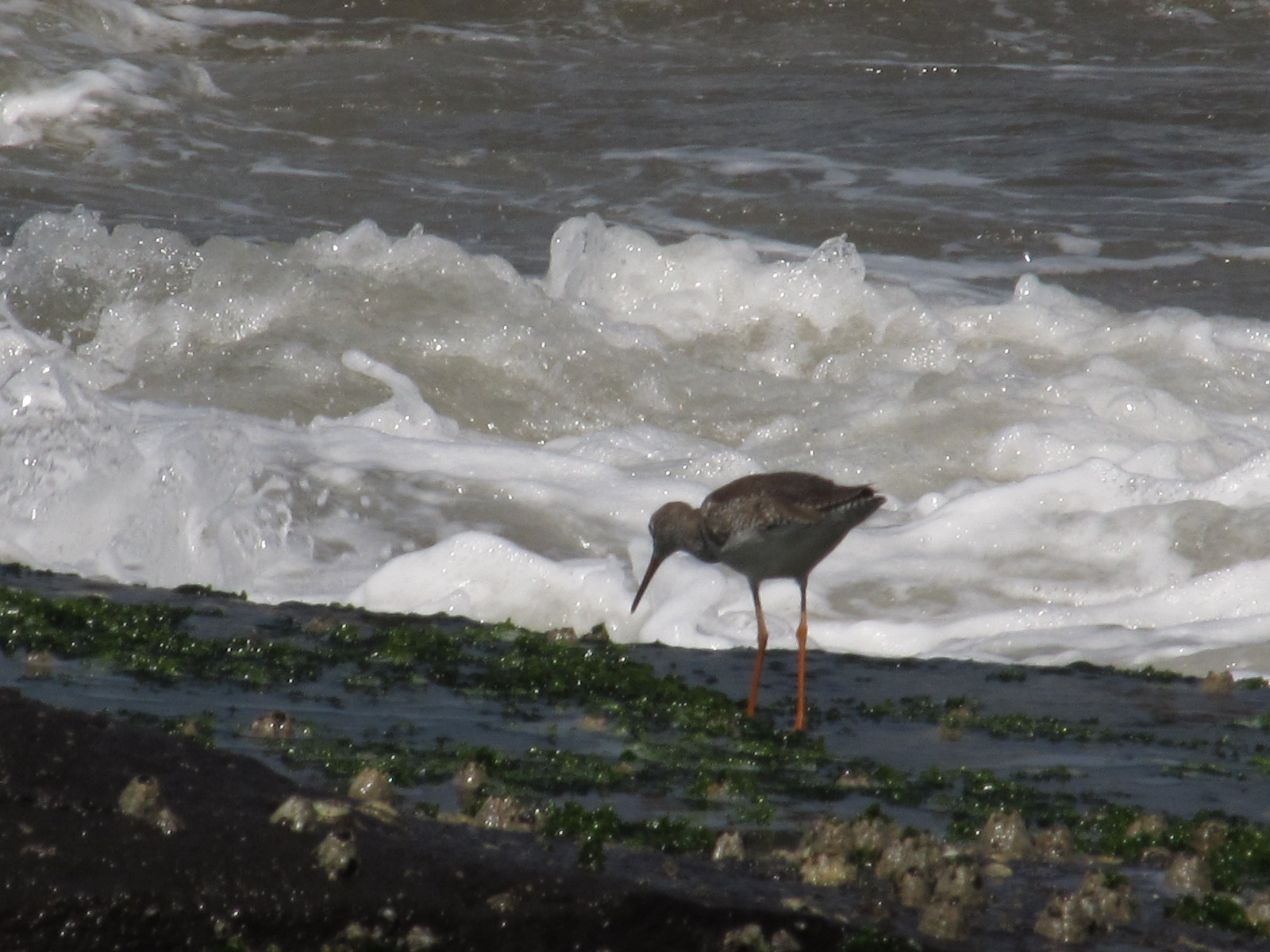 Harihareshwar - JungleKey.in Image