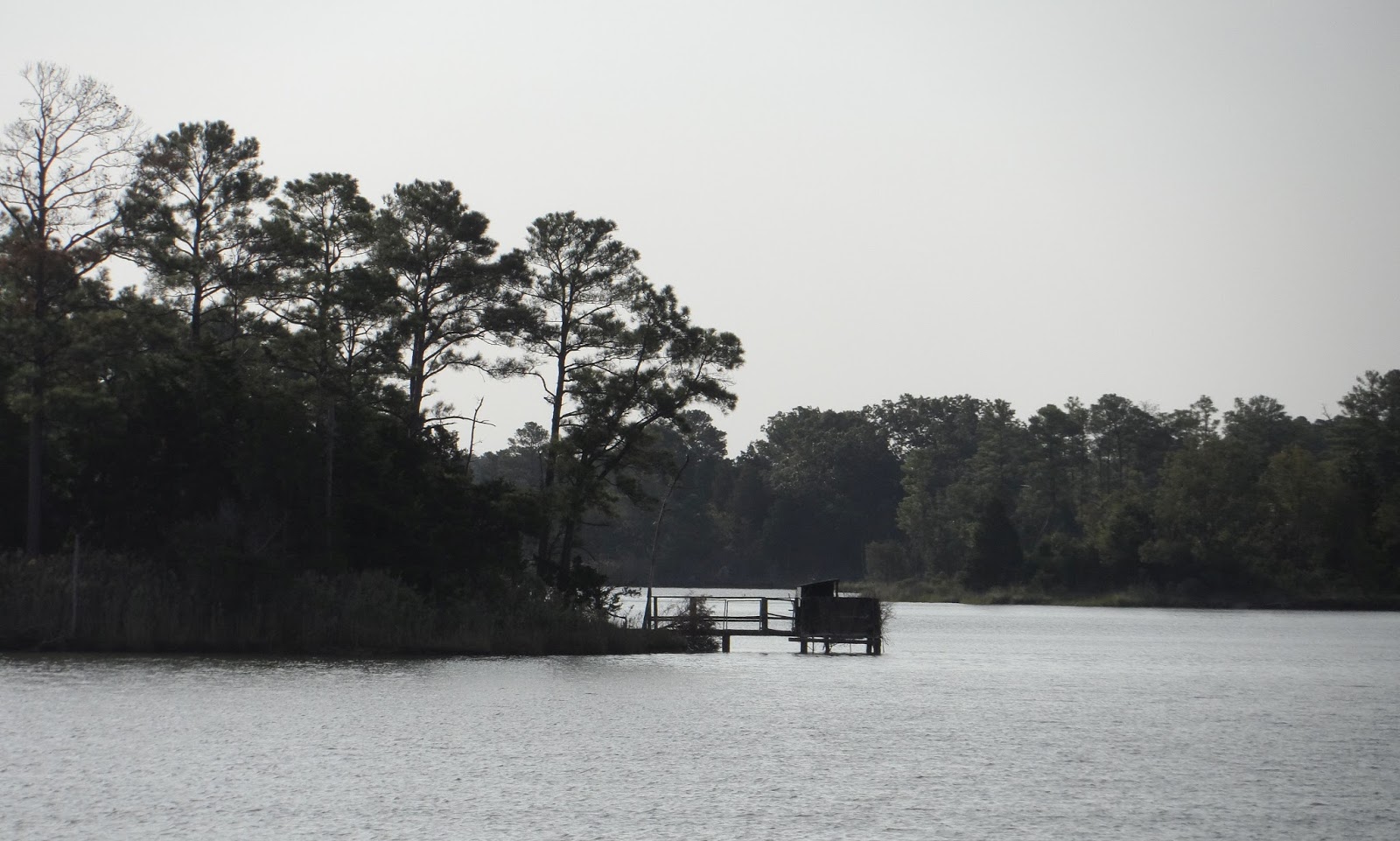 The Other Chesapeake: Smith Cove, Little Choptank River