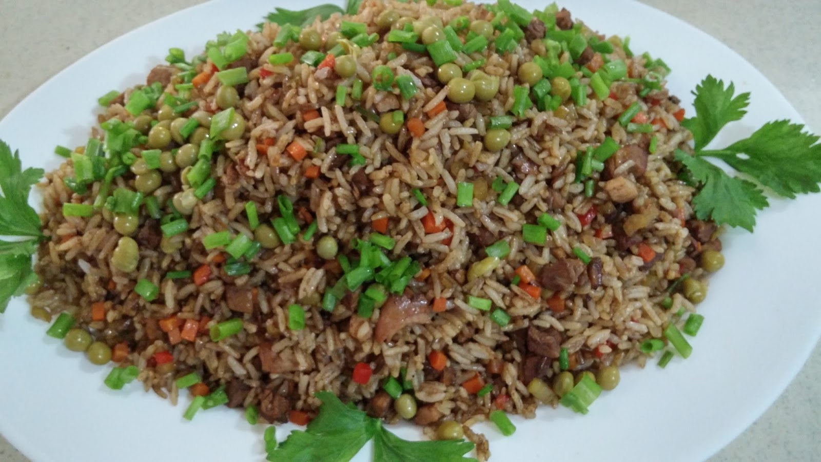 Receta de cocina: Chow fan : DESDE LA REPÚBLICA DOMINICANA