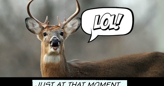 Phantoms and Monsters - Real Eyewitness Cryptid Encounter Reports