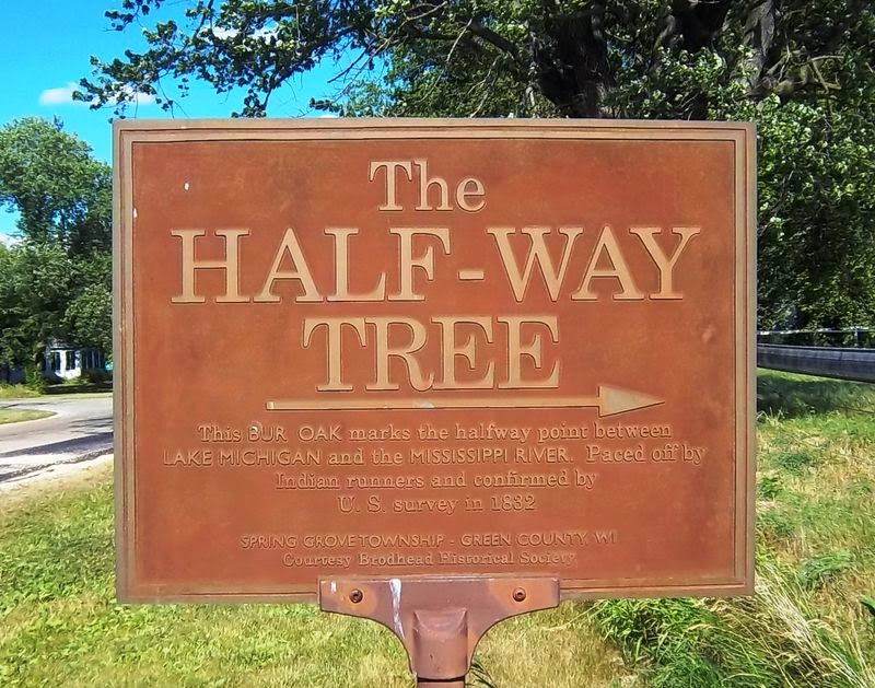 daily timewaster: The Half Way Tree