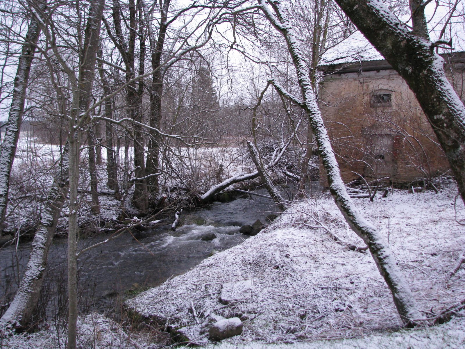 Vana aasta viimane kolamine (Neeruti mõis) 31.detsember 2011