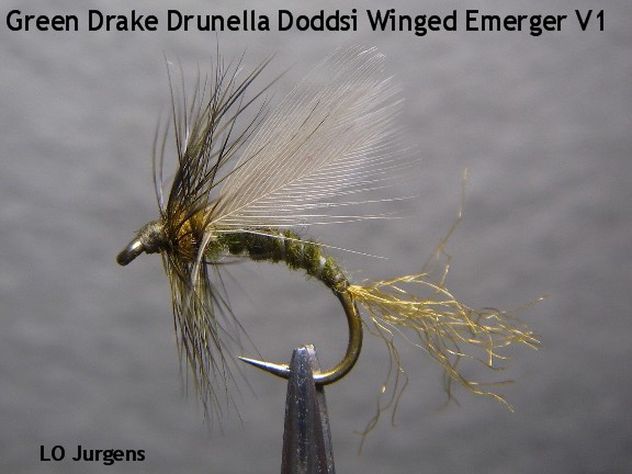 LoJ Ramblins': Green Drake