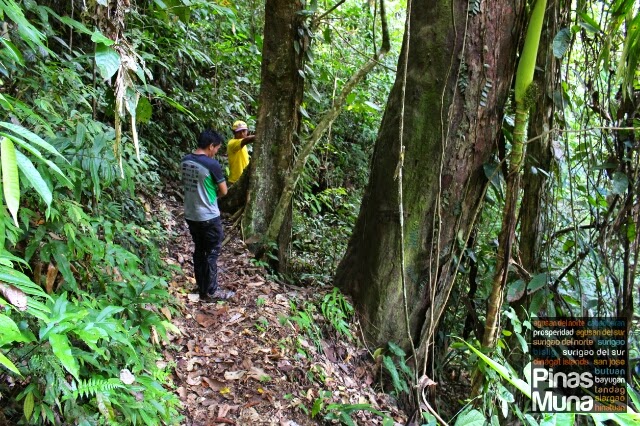 Bega Falls in Prosperidad, Agusan del Sur