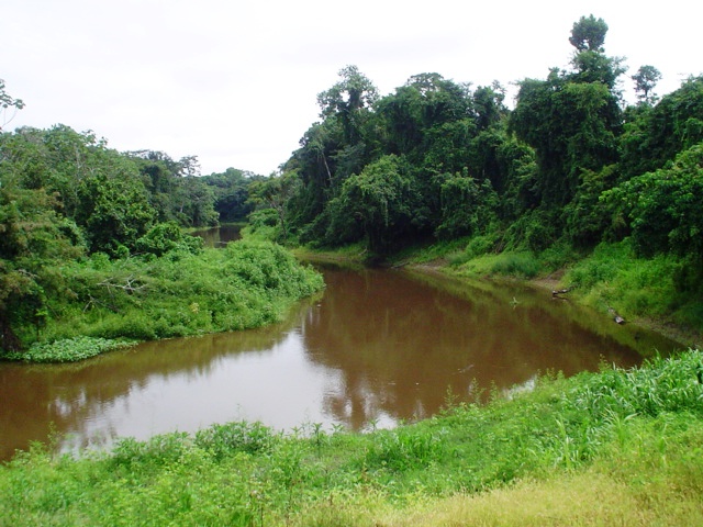 TIPISHCA: OCTUBRE EN LA REGIÓN OMAGUA