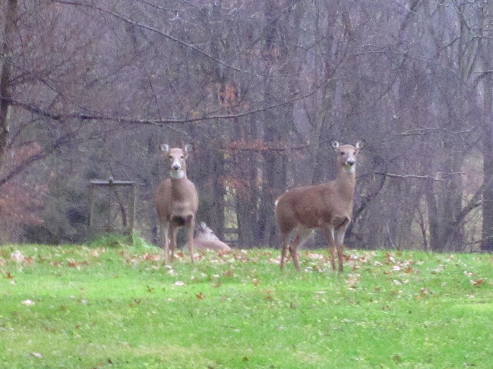 Live and Learn-Toss and Turn: 2011