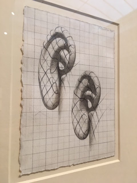 Drawing : Cross Contour Drawing