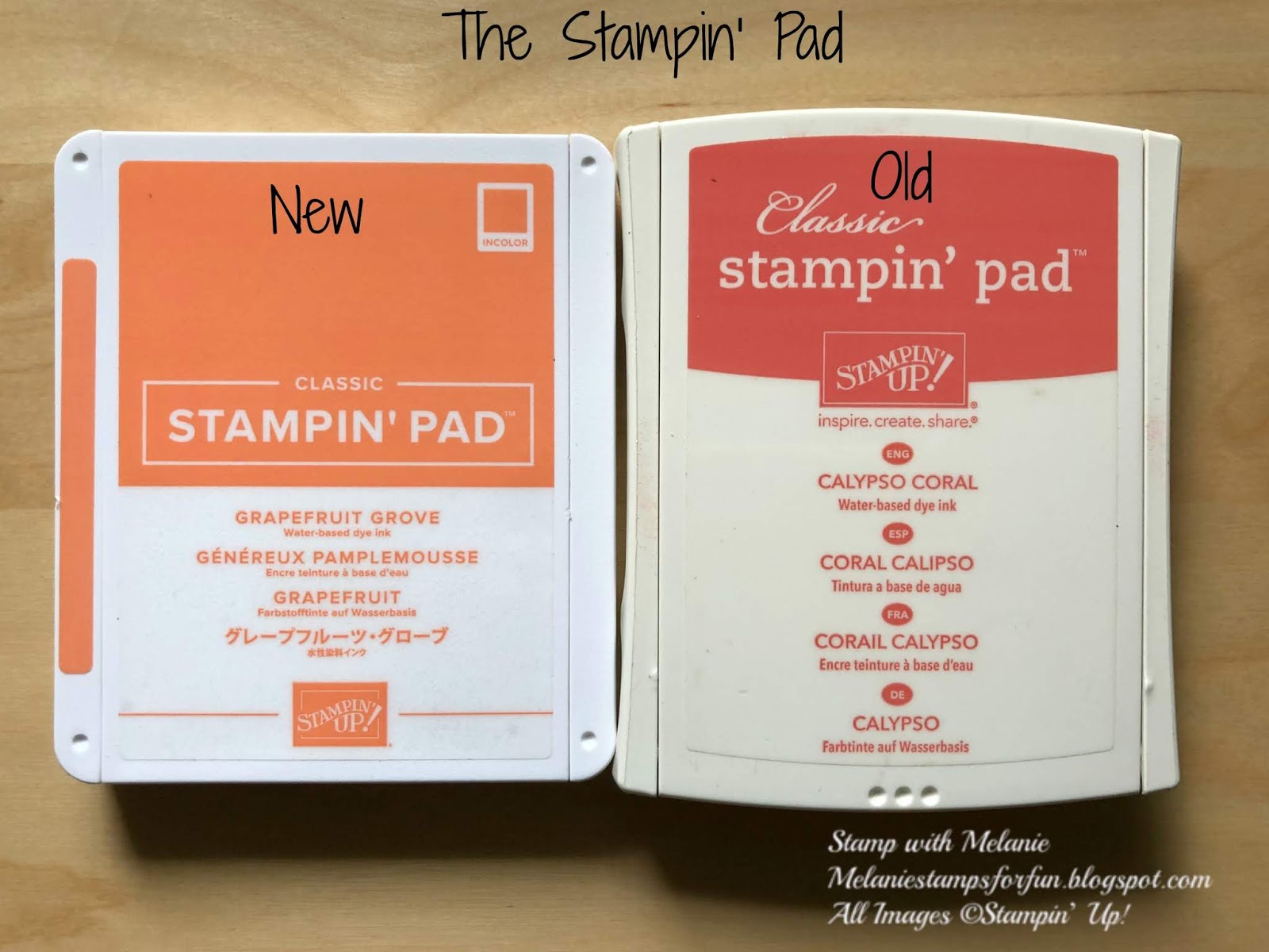 Stamp With Melanie: Tips and Tricks For The New Stamp Pads and Cases