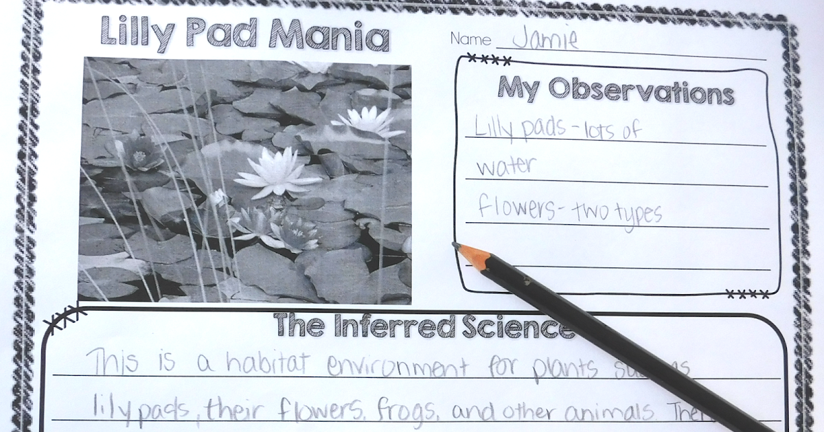 Classroom Freebies Too: Science Picture of the Day