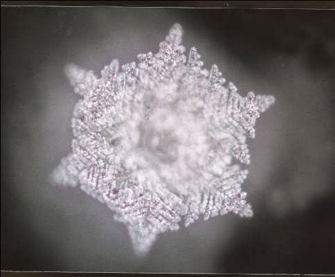 Partikel-partikel air ~ Water Resources and Human is One United