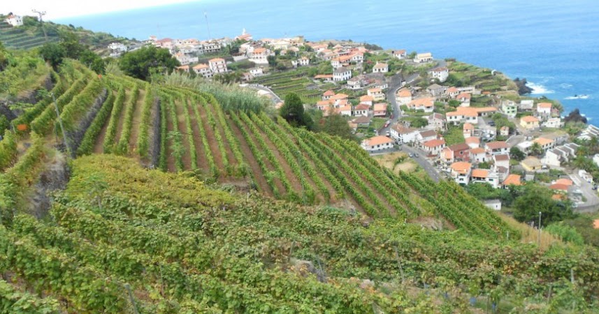 Sabe o que é um poio? - Somos Madeira