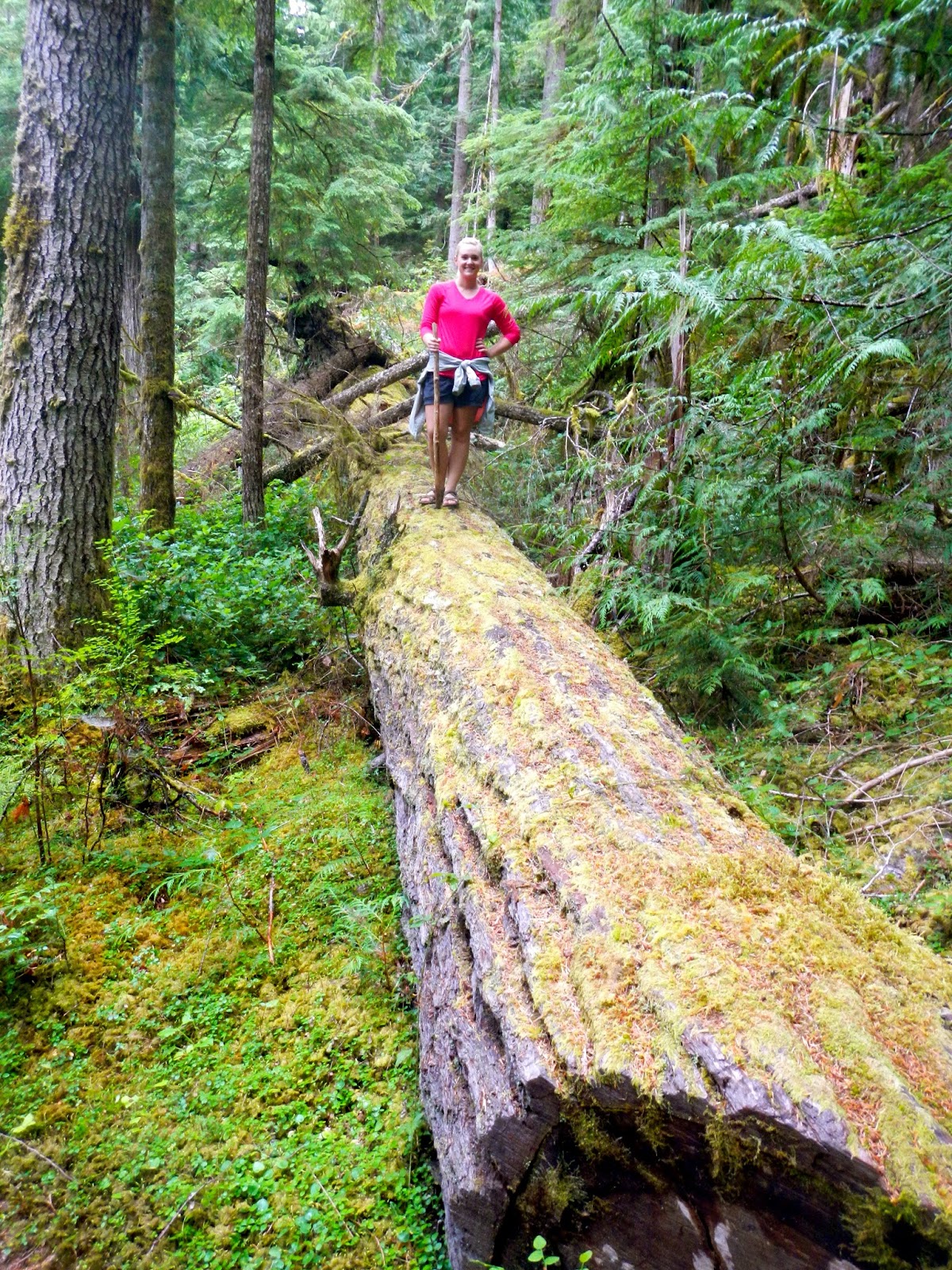 Travel Blog {Washington Trip: Lower Gray Wolf Trail}