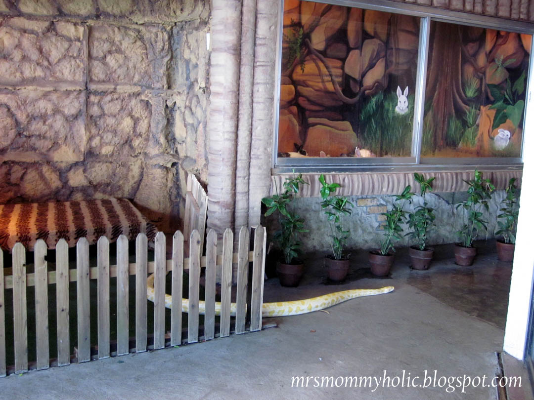 MrsMommyHolic: Residence Inn Zoo in Tagaytay
