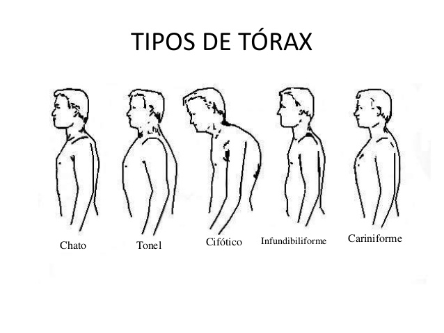 UNIVERSITARIA ENFERMAGEM: EXAME FÍSICO