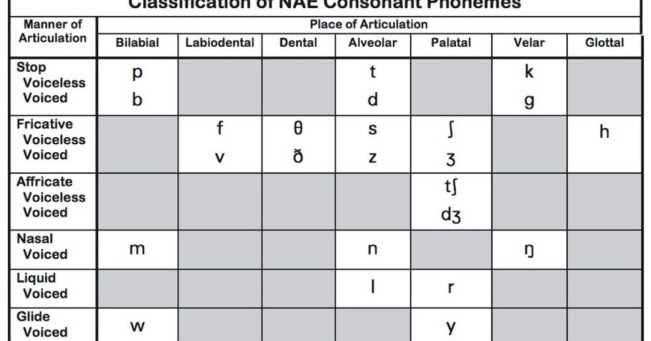 zEnglish is fun, it's all about to start!: Consonant chart