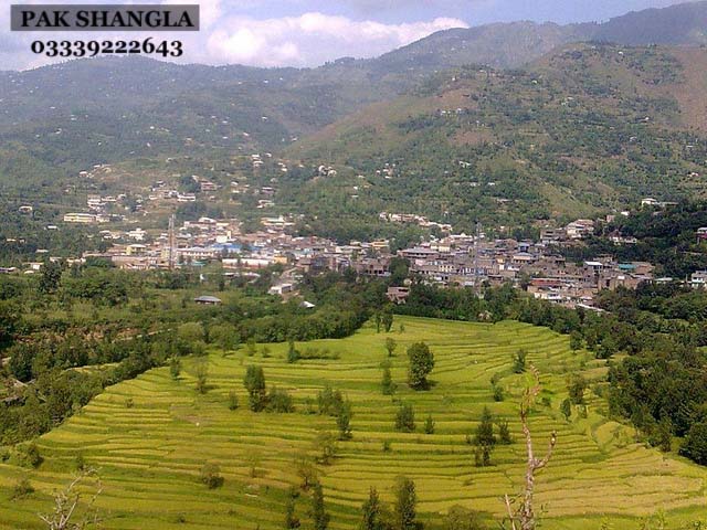 The Yousafzai State of Swat: HISTORY OF SHANGLA