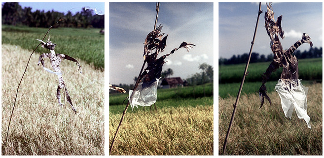 PUMPKINROT.COM: The Blog: Wind Devils