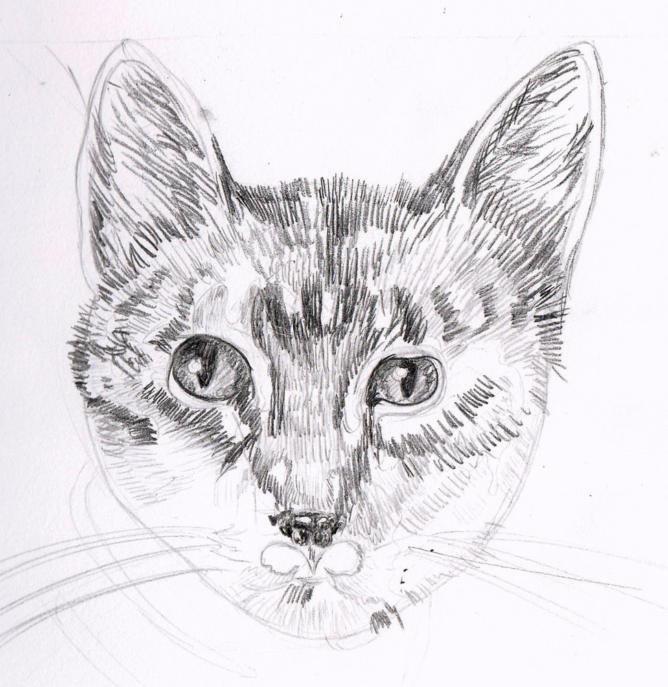 Weekly : Doodles and tuts: February 2014