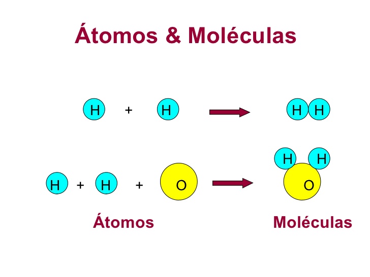 Átomos e Moléculas | Biologia: A ciência da vida