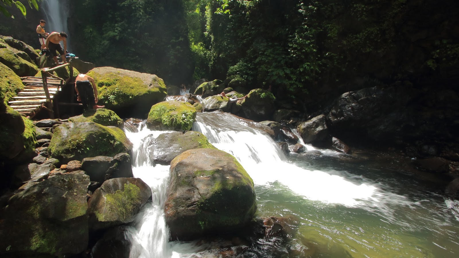 Taman Nasional Gunung Halimun Salak: Mengunjungi Curug Ciparay Muara ...