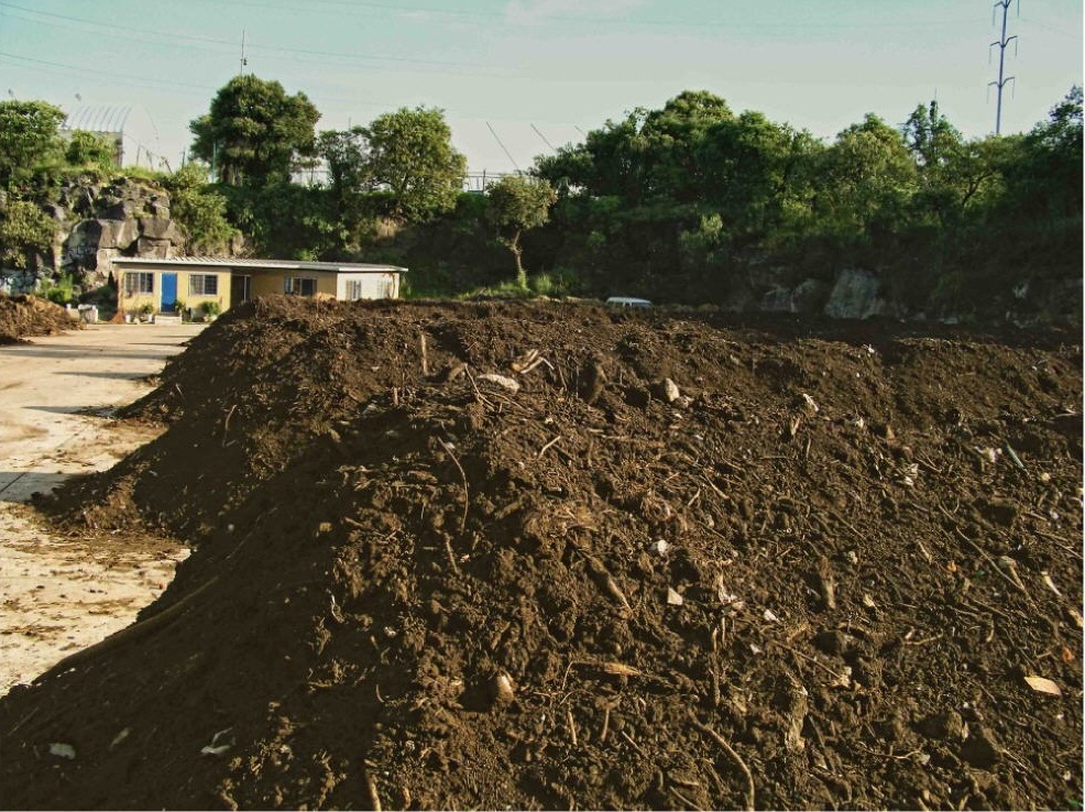 ¡La verde está muy buena!: Composta aquí, composta allá, composta en la ...