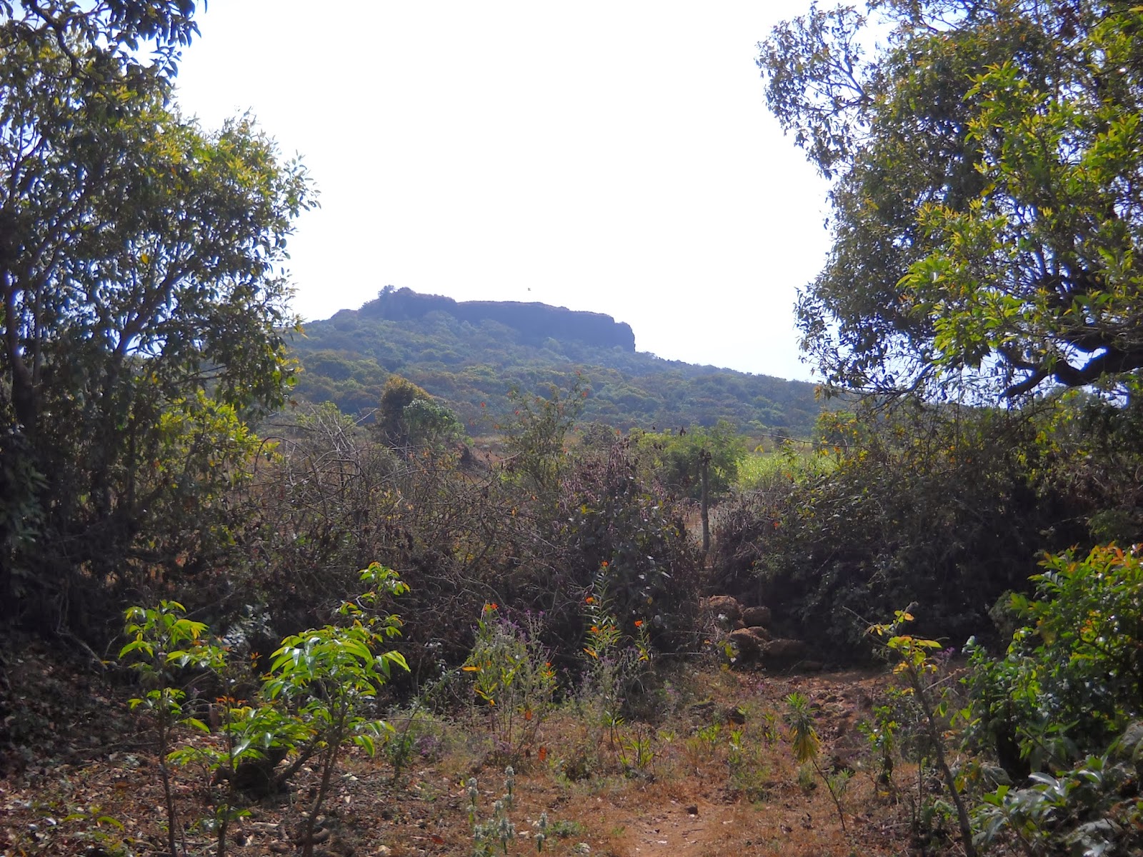 TreknTrail: KamalGad Fort Trek – An Adventure!........(1)