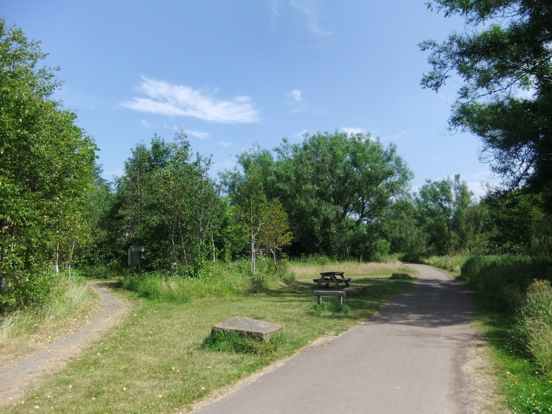 Photographs Of Newcastle: August 2013