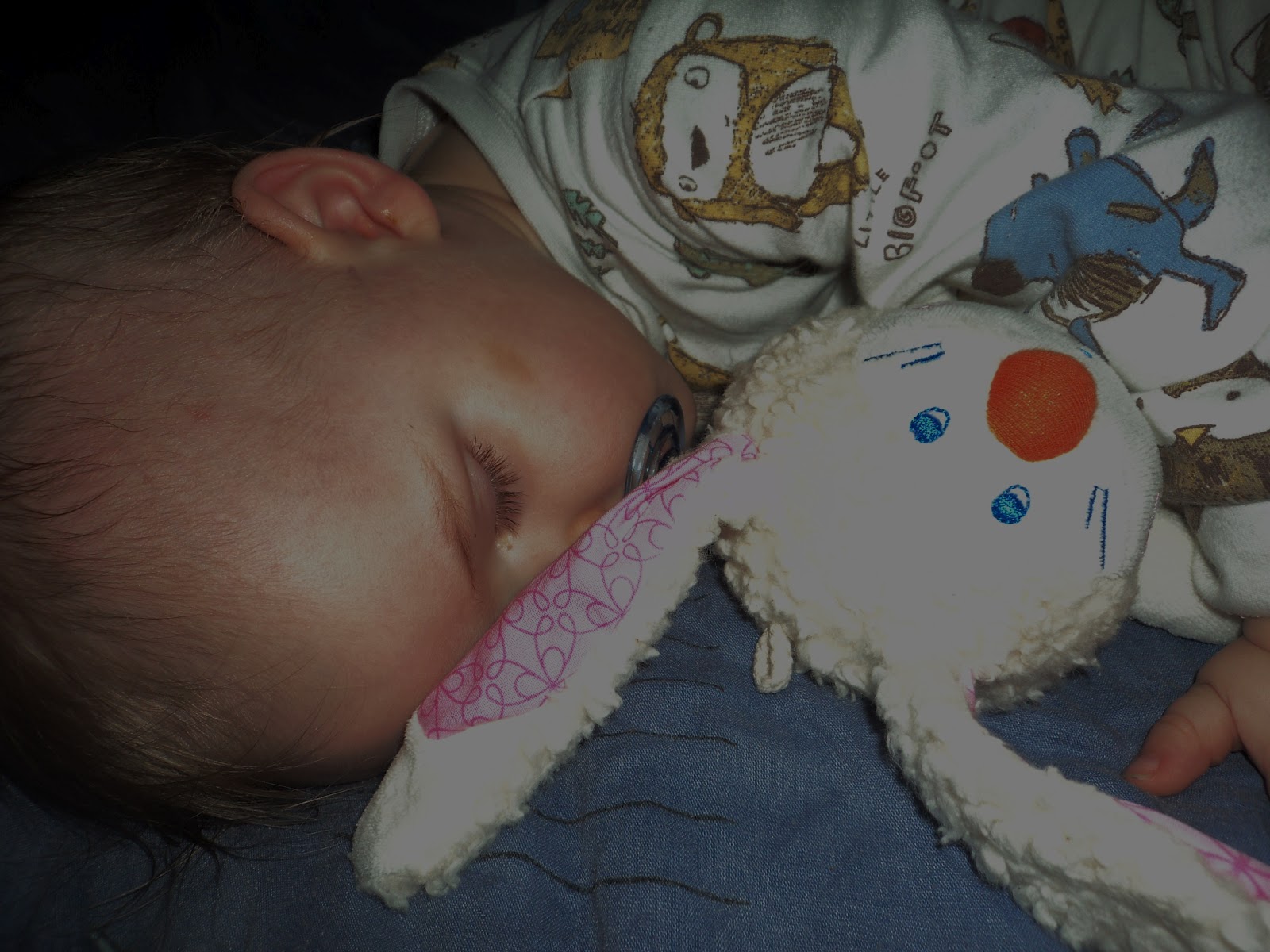 Where Roots And Wings Entwine: HABA Musical Benji Bunny Review