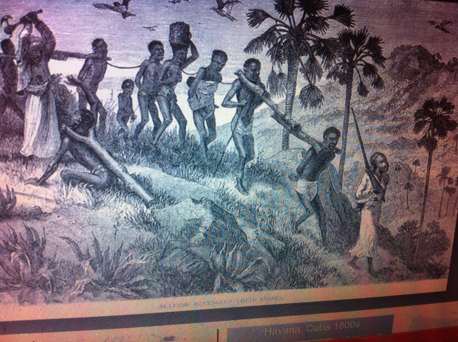 THE BLACK SOCIAL HISTORY:: BLACK SOCIAL HISTORY : SLAVERY IN CUBA ...