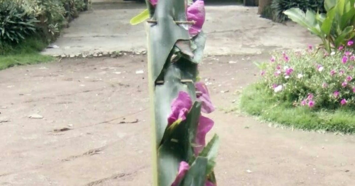 CARA MEMBUAT POROSAN