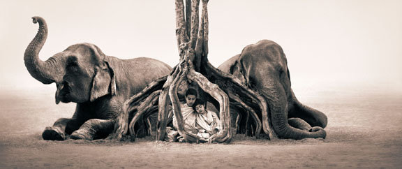 Gregory Colbert, 1960 ~ Canadian photographer | Tutt'Art@ | Pittura ...