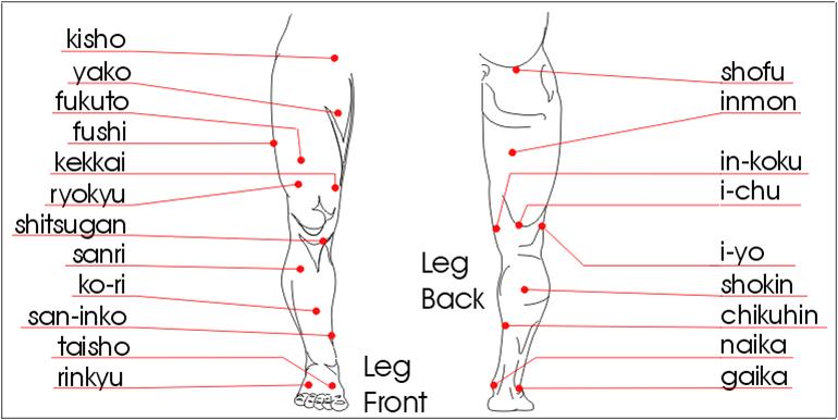 Shotokan Karate RS: Kyusho Jutsu / Tenketsu Jutsu
