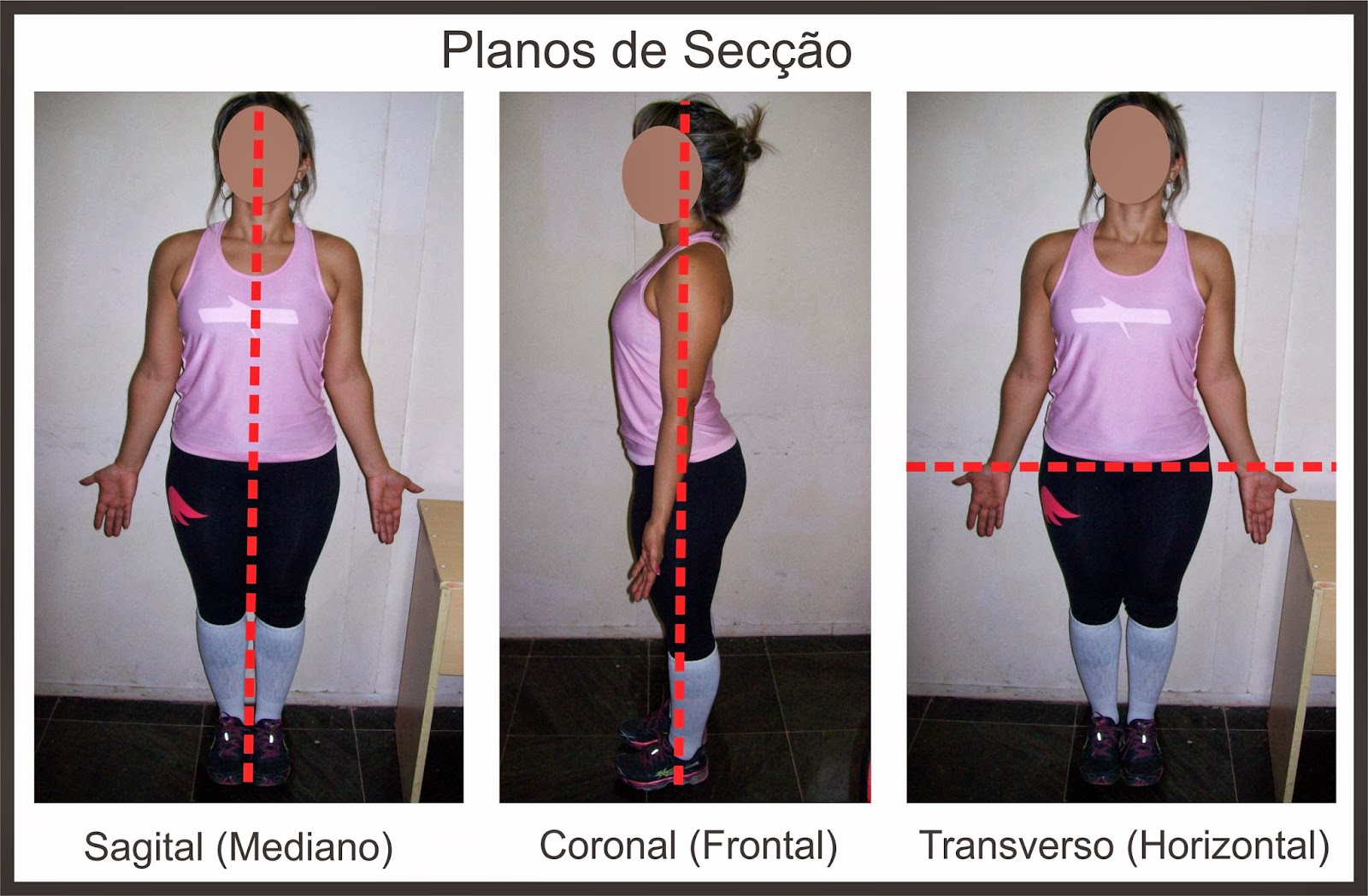 Biomecânica - Introdução eixo e planos | Resumo Fisio