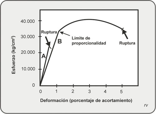 DIVERSIFICACIÓN DEL IES SELGAS (CUDILLERO): GEOLOGÍA