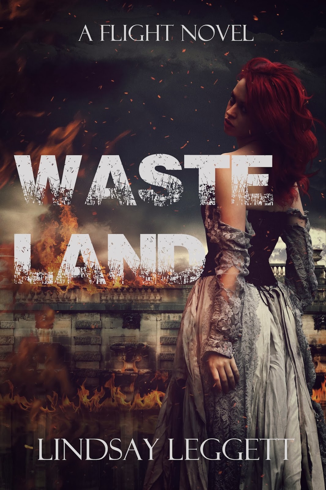 Bookittyblog YA Book Reviews: Wasteland by Lindsay Leggett Cover Reveal