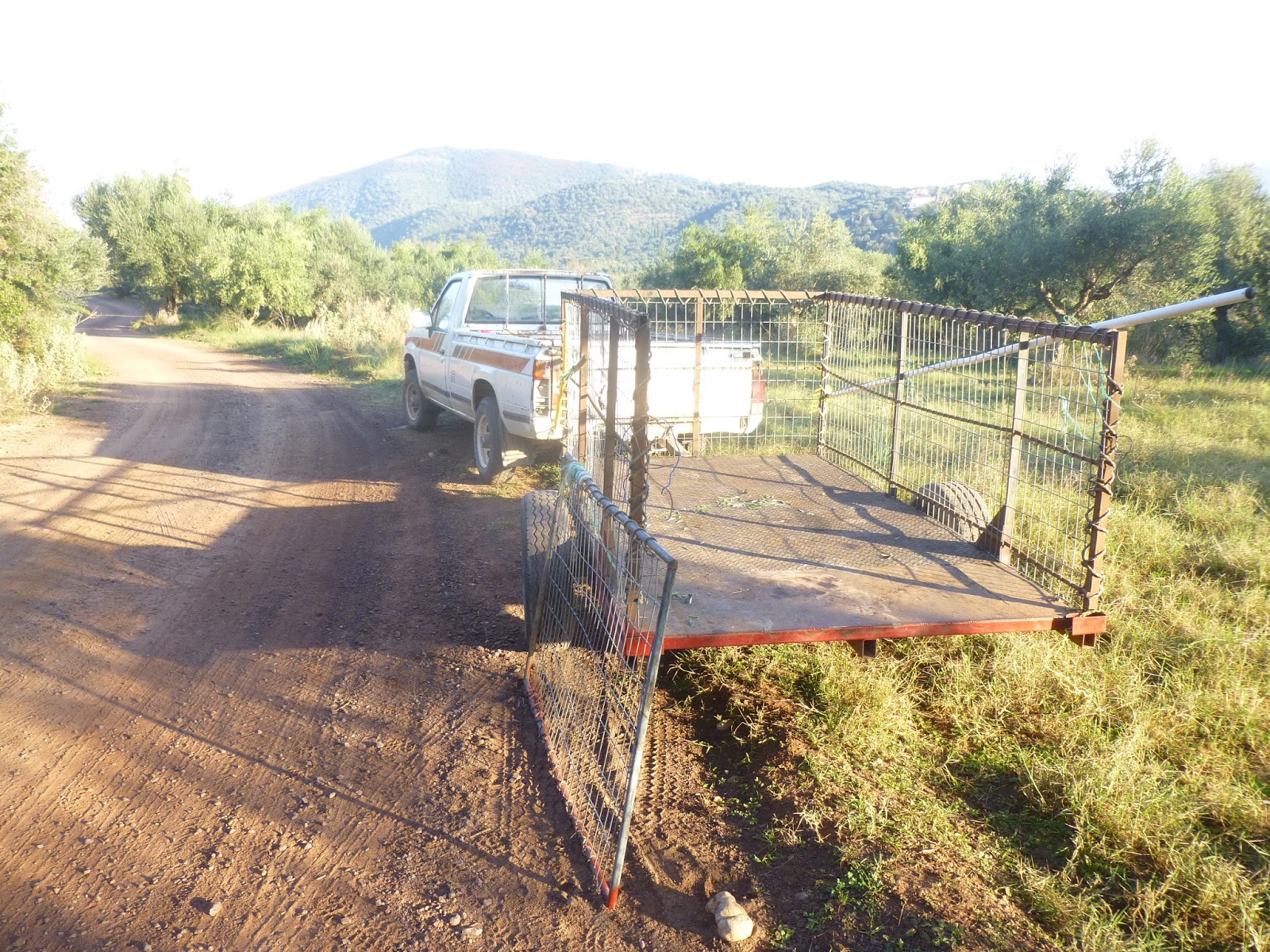 ΠΕΡΙΒΑΛΛΟΝ ΥΓΕΙΑ ΟΙΚΟΛΟΓΙΑ: ΣΥΓΚΟΜΙΔΗ ΕΛΑΙΟΚΑΡΠΟΥ-ΛΙΟΤΡΙΒΙ-ΑΠΟΘΗΚΕΥΣΗ ...