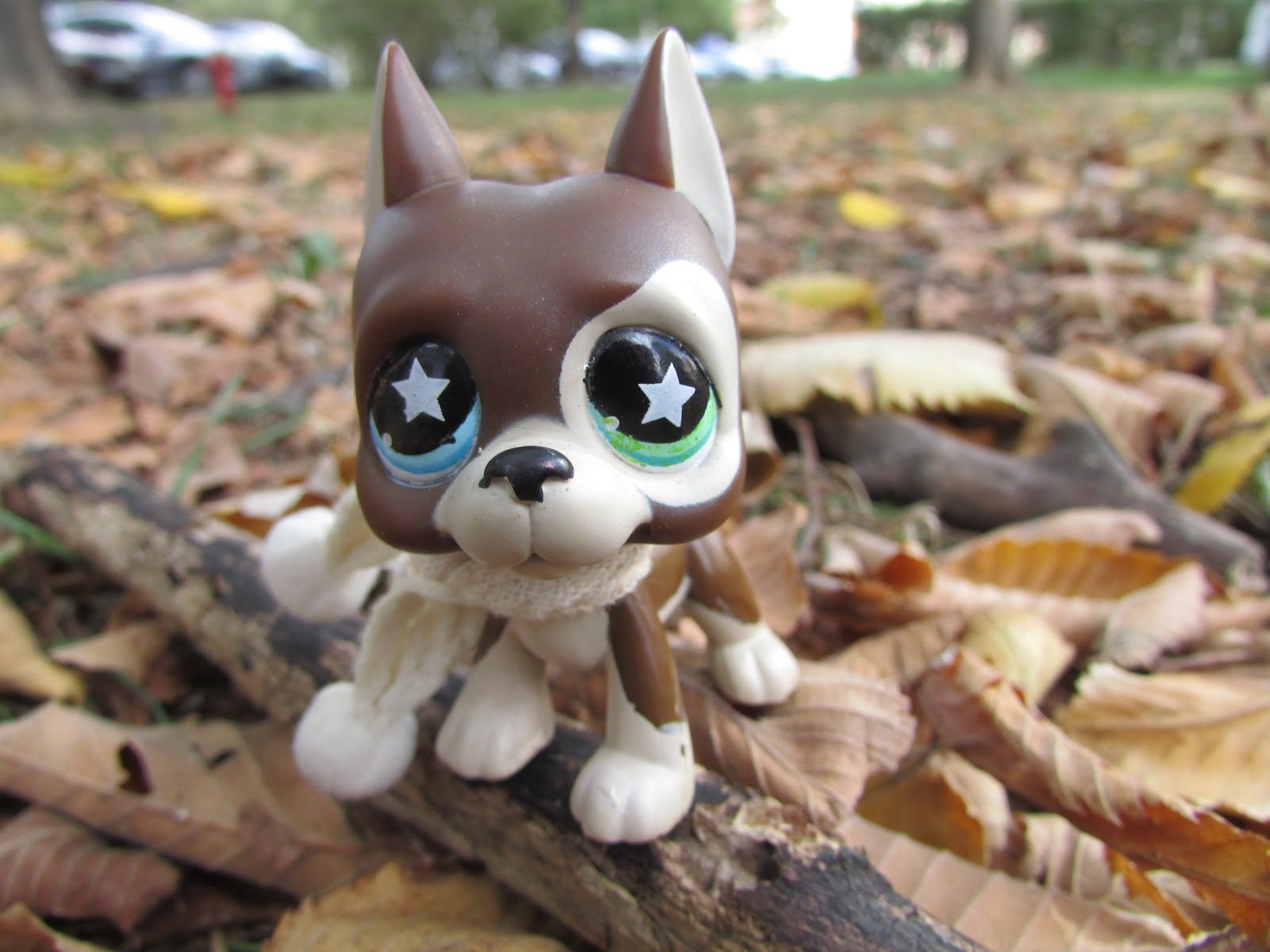 Mój świat LPS: 134. LPS: Jesienna sesja