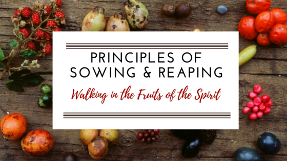Principles of Sowing & Reaping - Walking in the Fruits of Spirit Bright ...