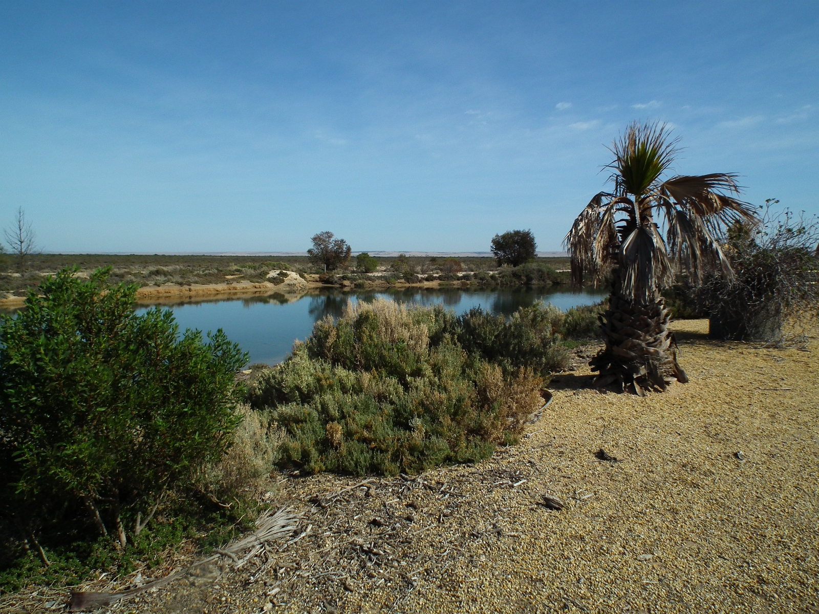 Meander to the Max: Balaklava to Port Wakefield -- the top of the gulf