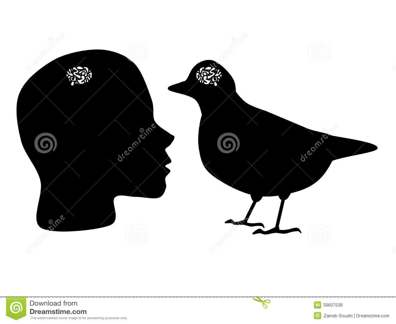 island life- in a monastery: BIRD BRAINS- NEVER CHEAT A RAVEN!