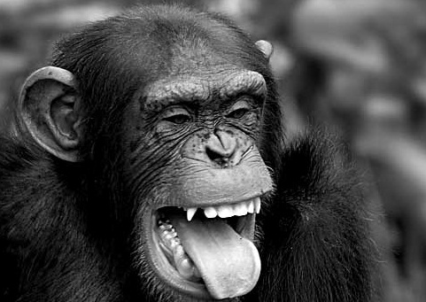 The Fast Picture Show: Oooh! I could crush an Ape!