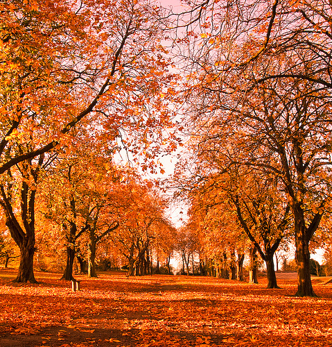 Being Frank: A Splash of Color