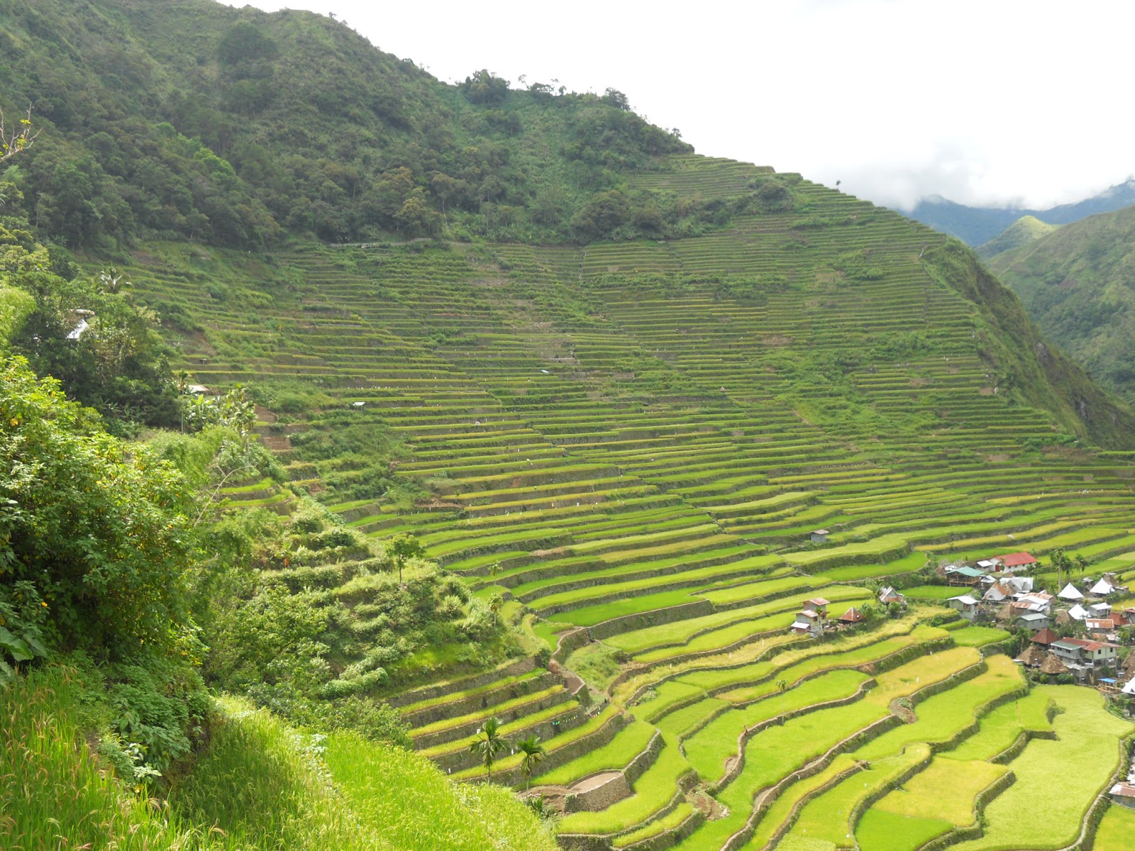 Superfluous Bear: 2) The Enduring Terraces