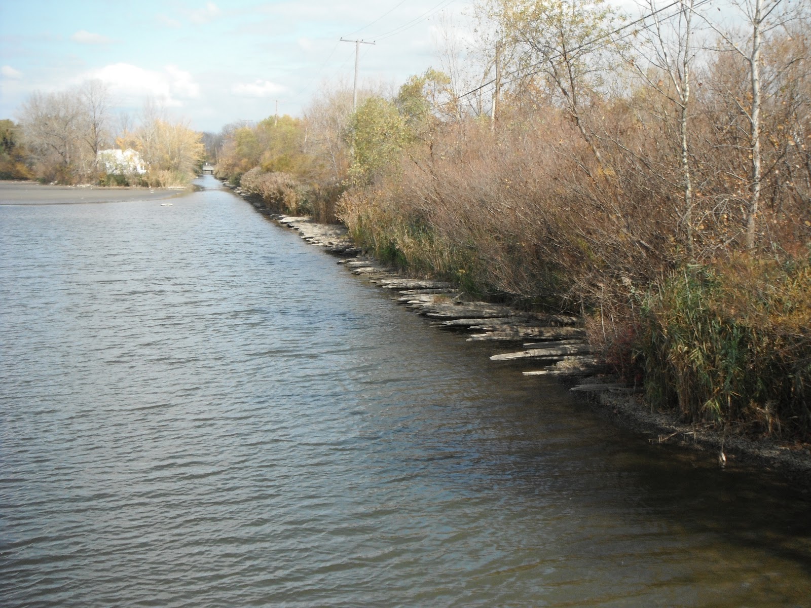 The Old Northwest Notebook: Hull's Trace: Walking on a 200 Year Old Log ...