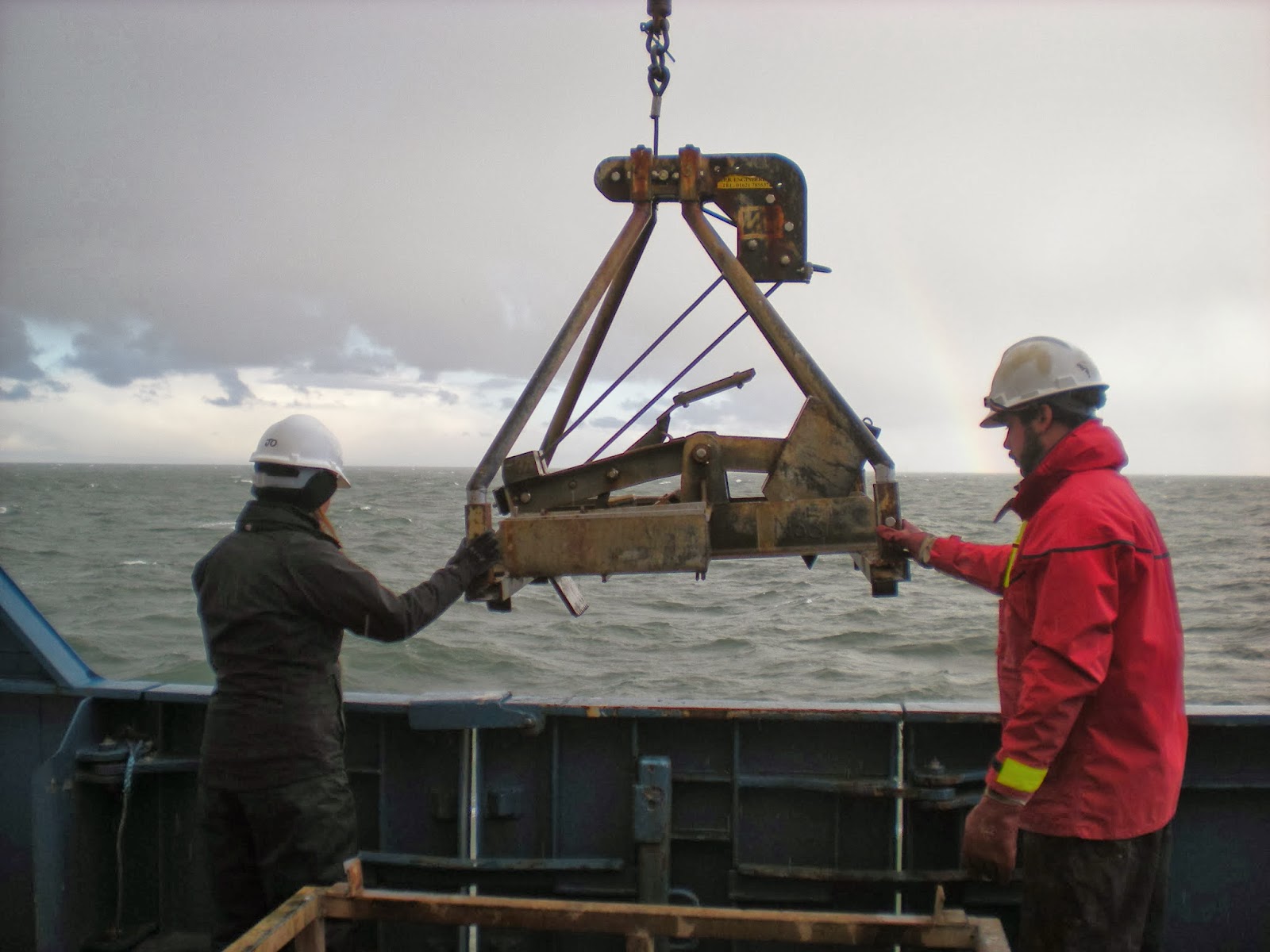 JNCC marine survey update: November 2013